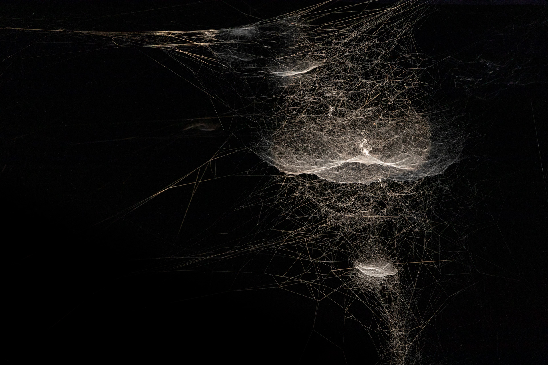 Spider/Web Pavilion 7 · STUDIO TOMÁS SARACENO