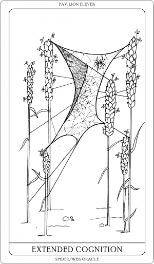 Spider/Web Pavilion 7 · STUDIO TOMÁS SARACENO