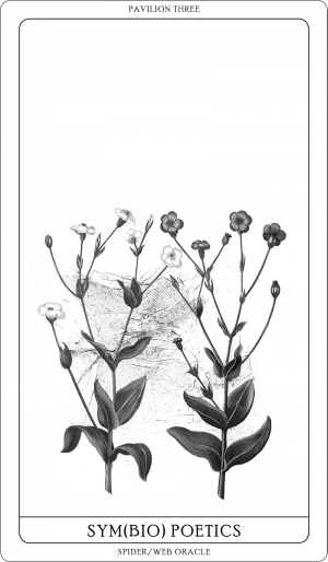 Spider/Web Pavilion 7 · STUDIO TOMÁS SARACENO