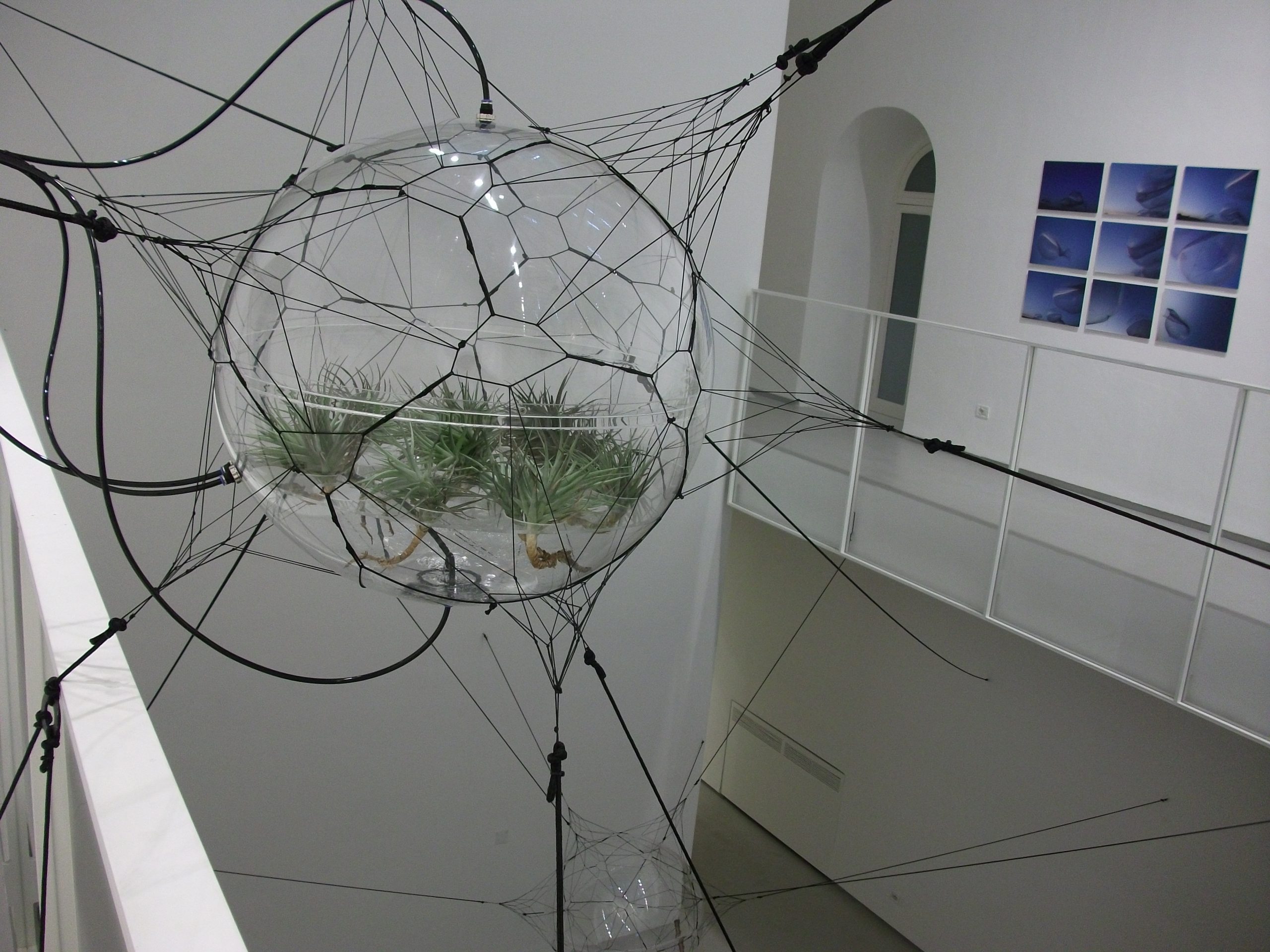 From Camogli to San Felipe, spiders weaving stars… · STUDIO TOMÁS SARACENO
